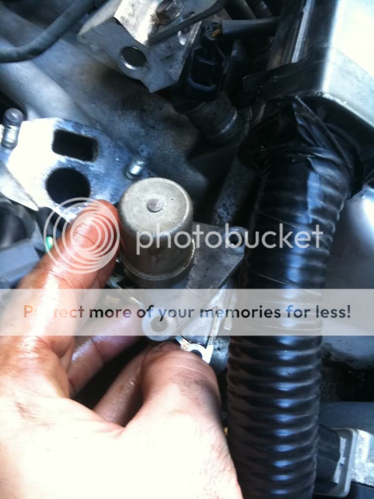 vtec seneloid removal/screen clean..."pics" | 6th Gen Accord DIY and ...